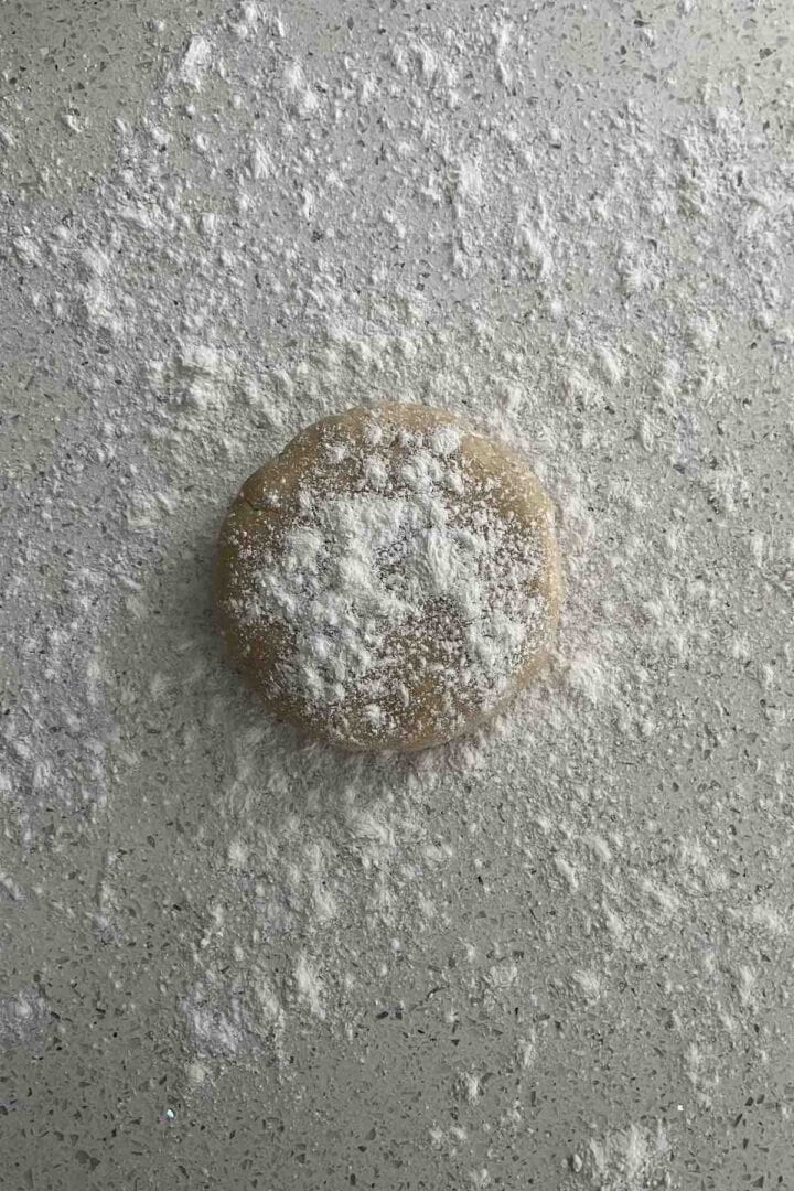 Easy Homemade Pie Crust Recipe